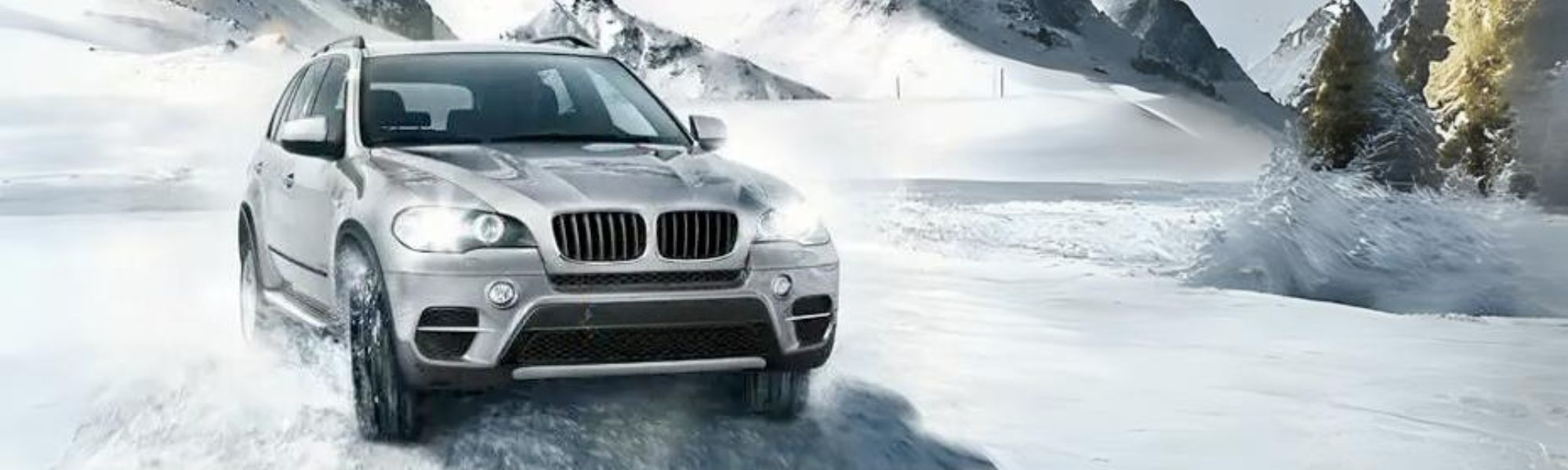 Neumáticos de importación - Massimo Tyre