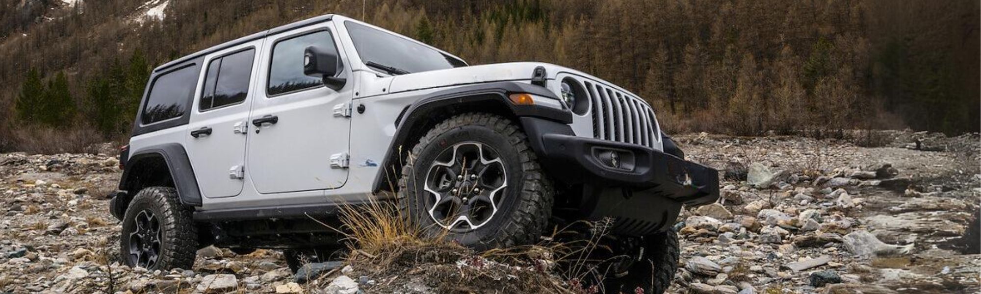 Neumáticos de importación - Massimo Tyre